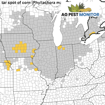 In-Season Updates - Indiana Field Crop Pathology
