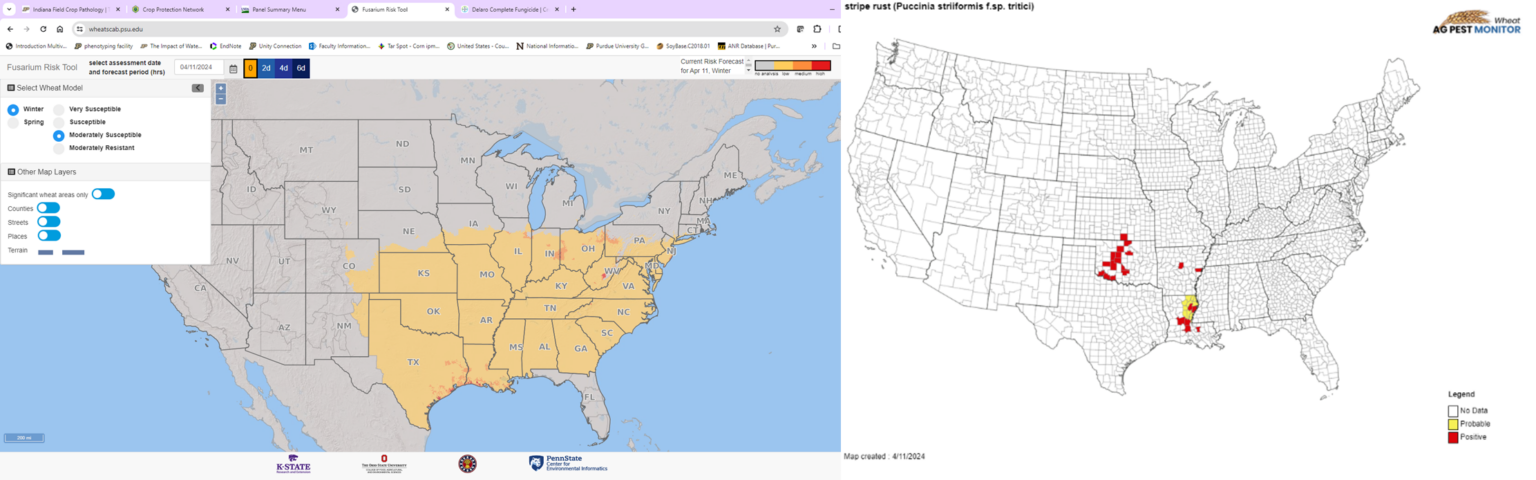 Field Crop Disease Monitoring Resources for Indiana - Indiana Field ...