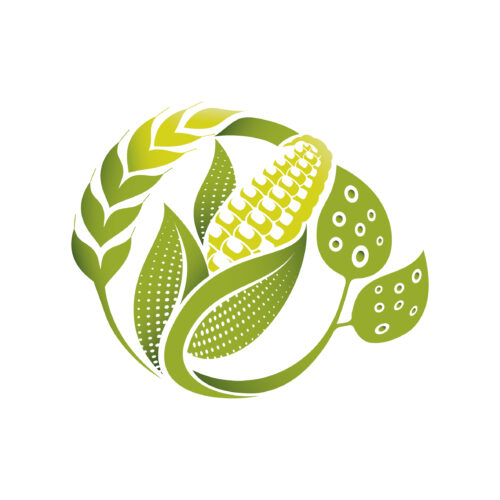 Field Crop Disease Monitoring Resources for Indiana - Indiana Field ...