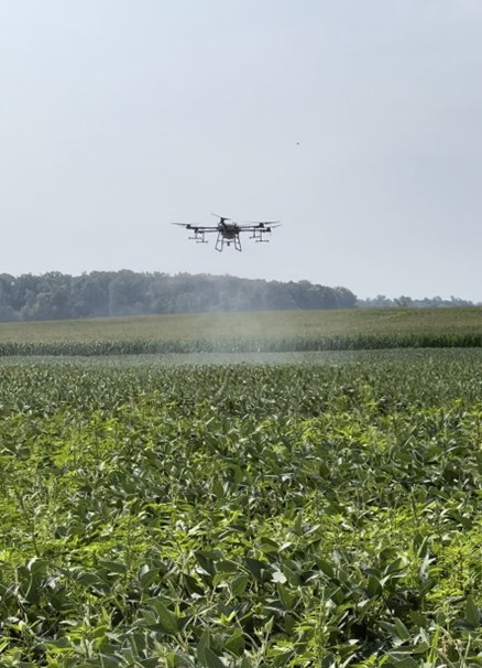 Soybean Archives - Indiana Field Crop Pathology