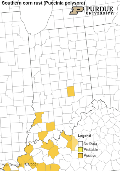 Tar Spot and Southern Corn Rust Update in Indiana - Indiana Field Crop ...