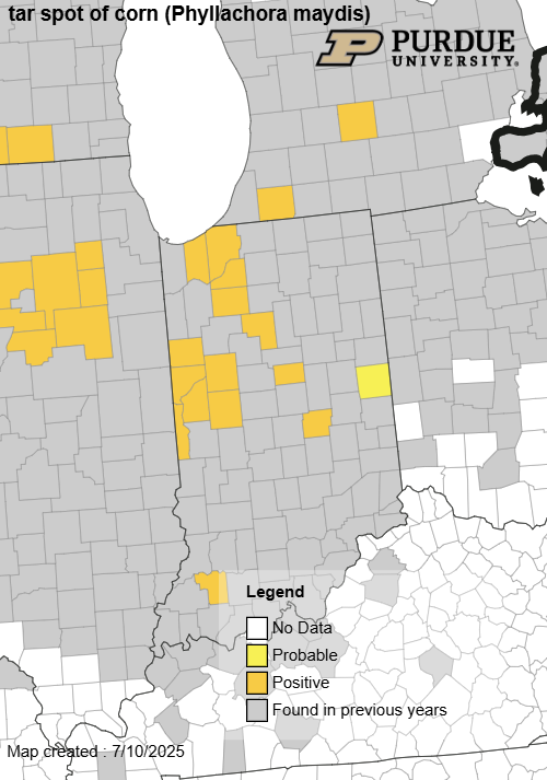Disease Update in Indiana Corn and Soybean - Indiana Field Crop Pathology